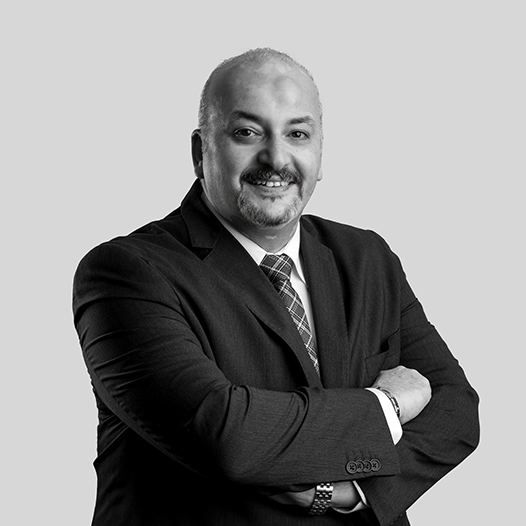 Experts | Moharram & Partners | Public Affairs & Strategic Communications (M&P)